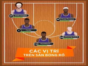Các vị trí trong bóng rổ và vai trò của từng vị trí